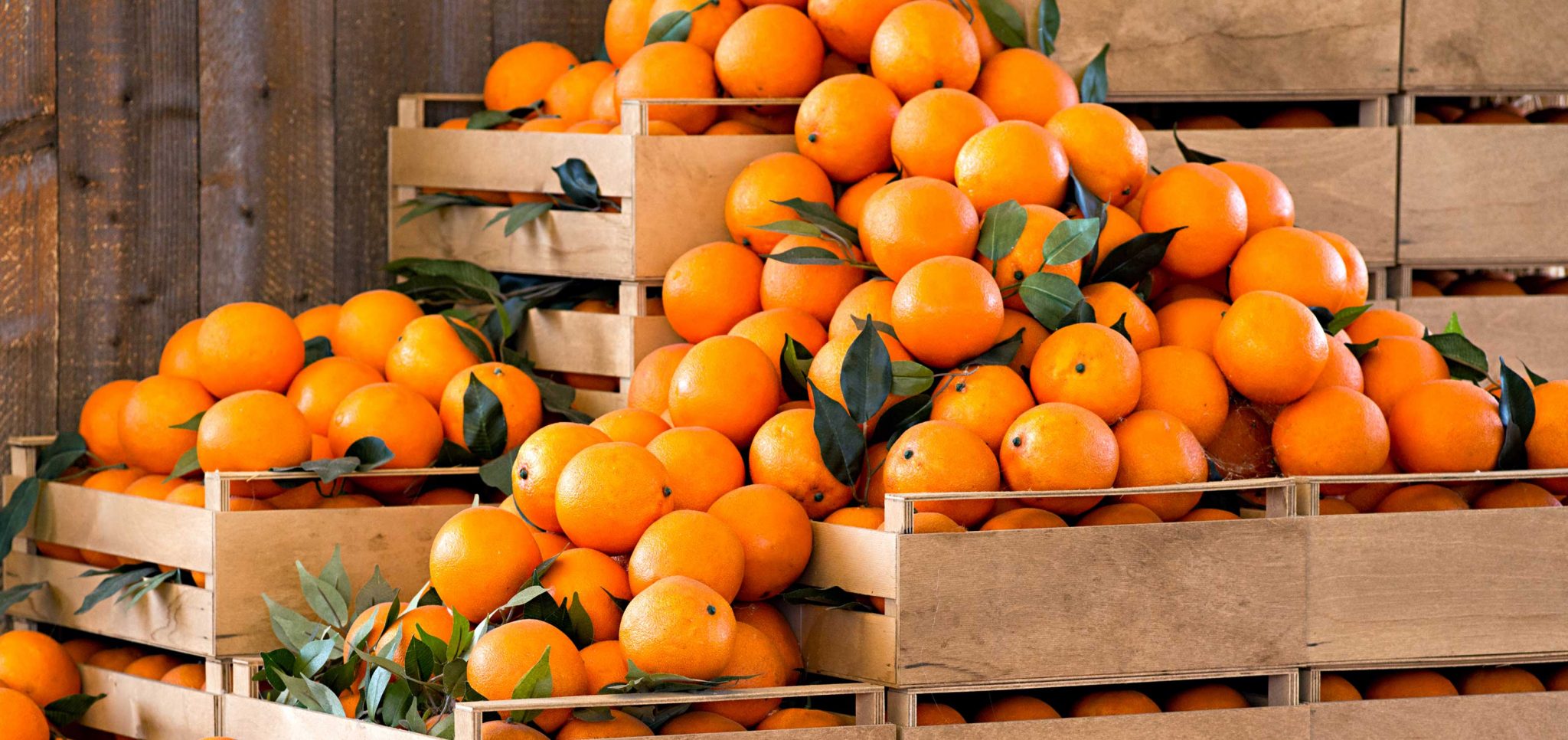 Intermodal Transport 101 | DHL Freight