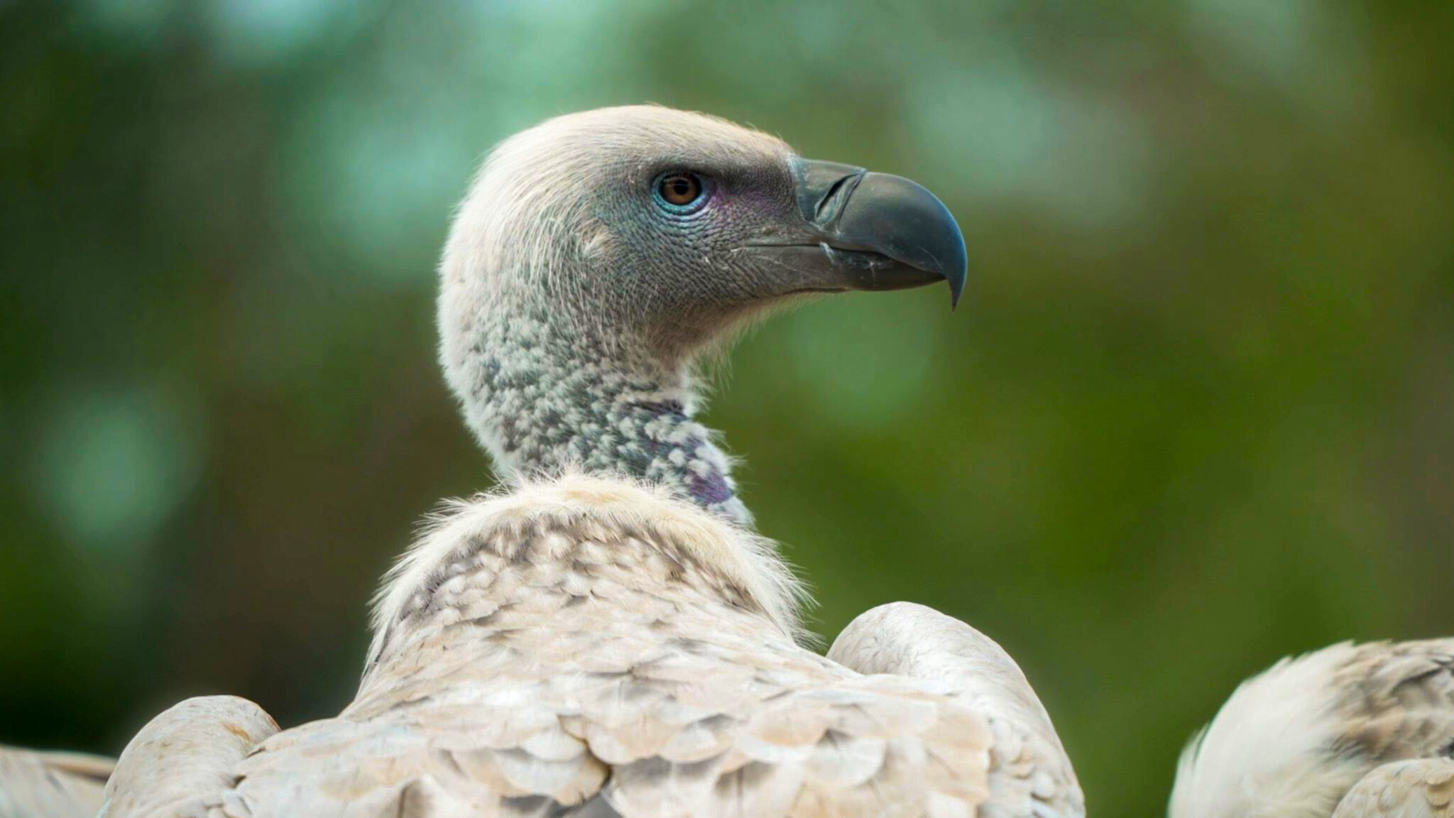 The Most Unusual DHL Deliveries 2024 | DHL Freight